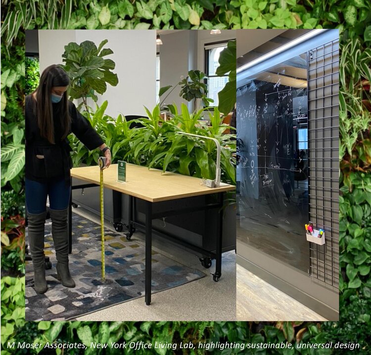 Peter Blanck presents, Inclusivity in Sustainable Design: Global ...